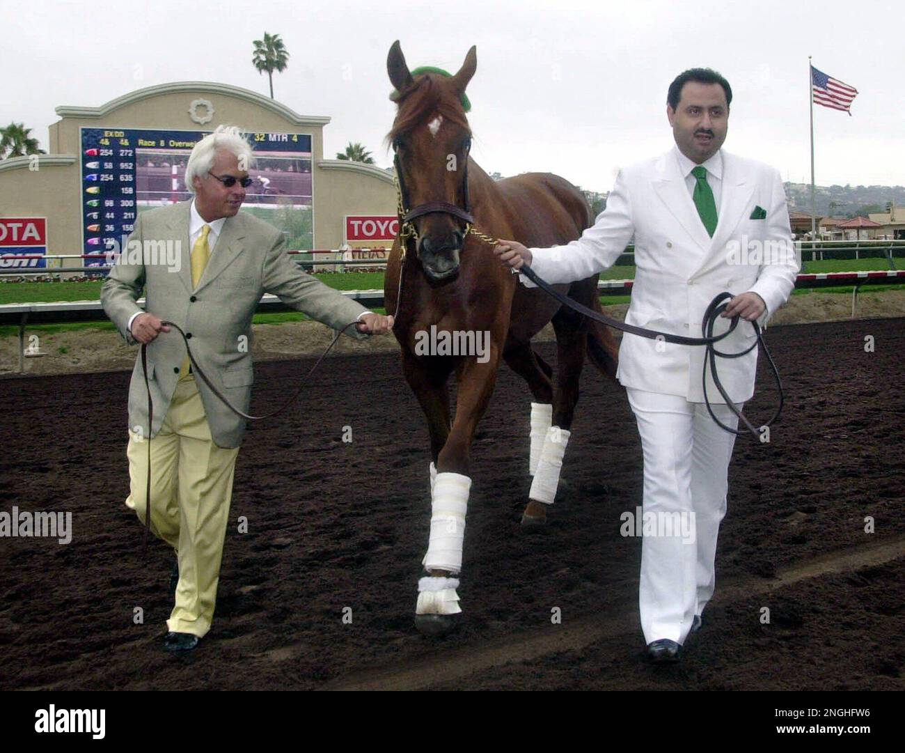 Three-year-old thoroughbred Point Given, winner of the Preakness ...