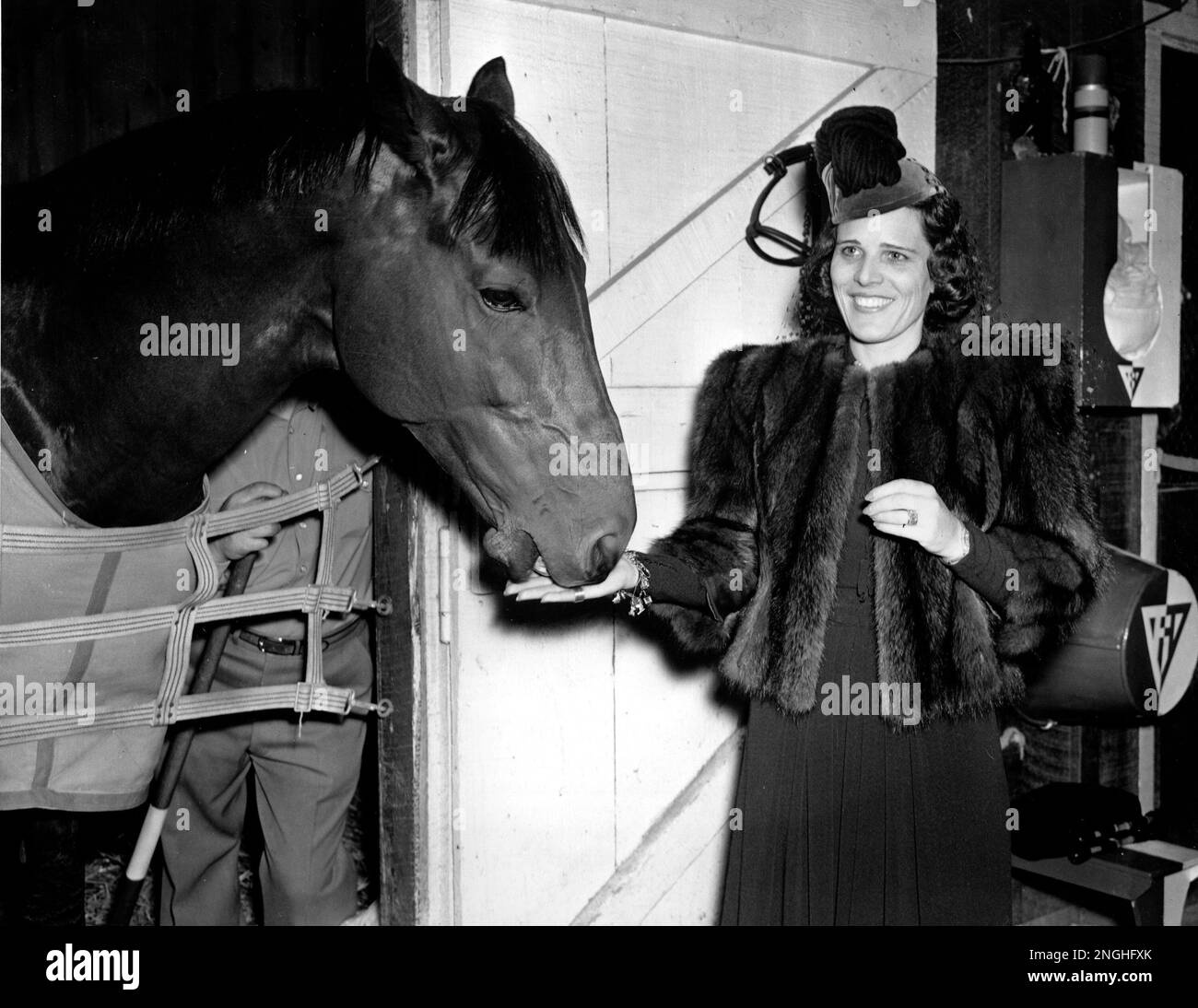 Seabiscuit receives a carrot in his stable from owner Marcela Howard at ...