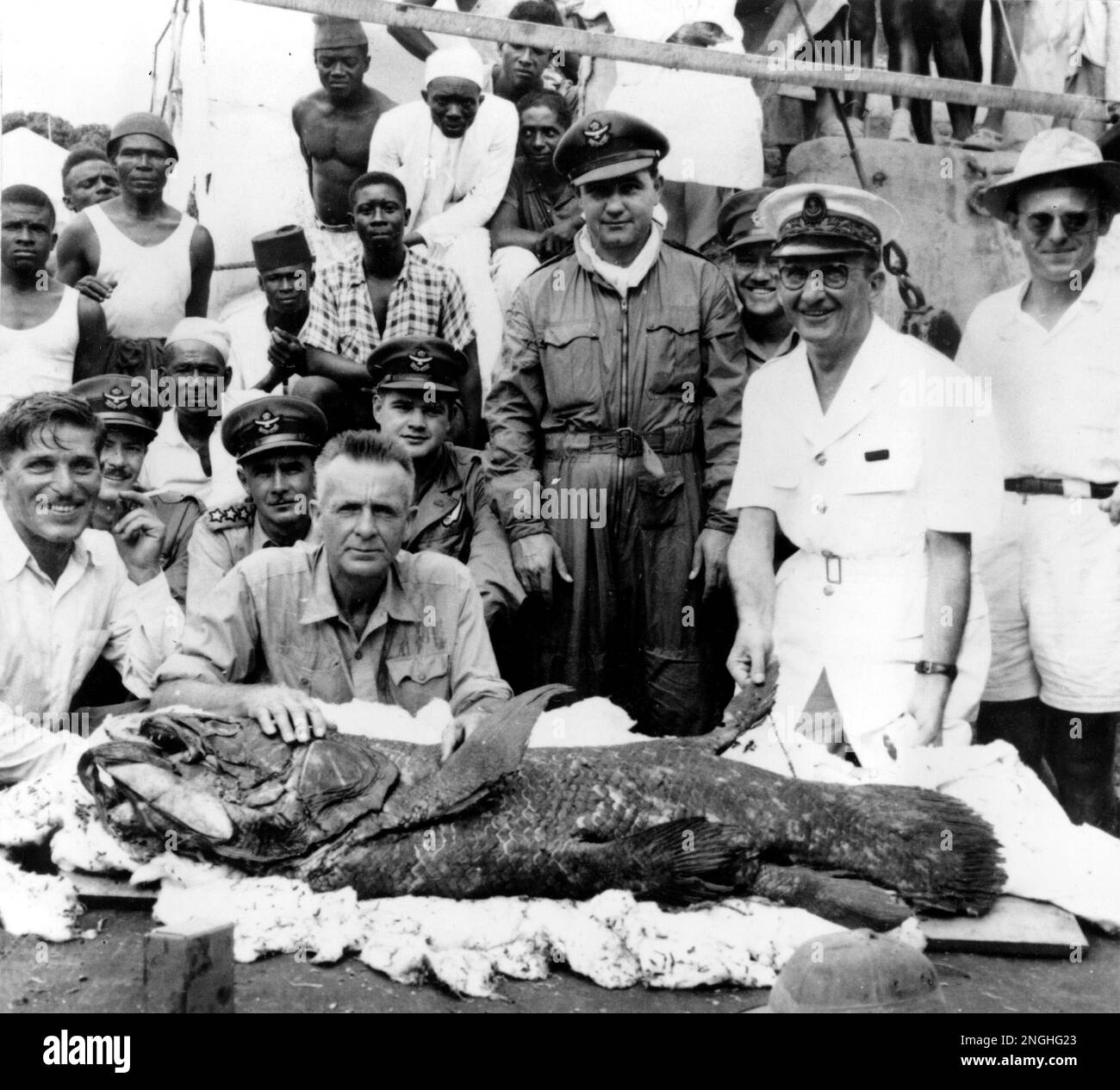 Prof. J.L.B. Smith, ichthyologist of Rhodes University, South Africa ...