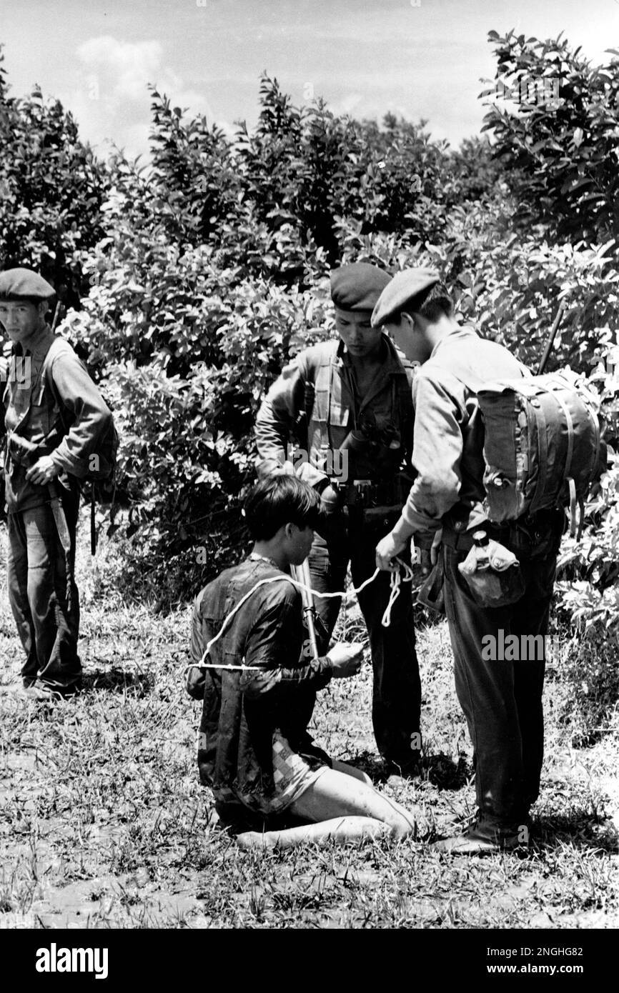 A Viet Cong prisoner kneels on the ground as Vietnamese rangers bind ...