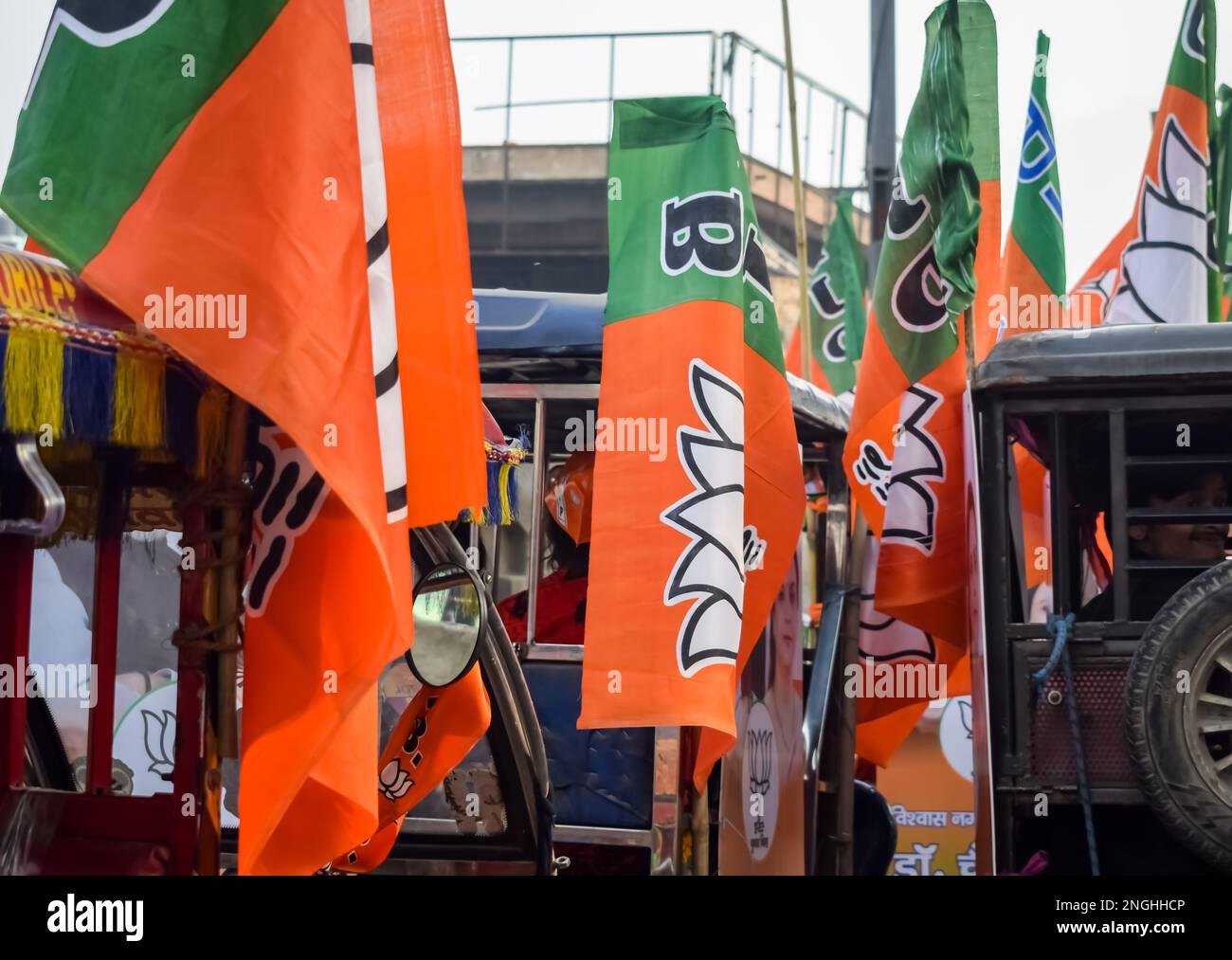 Delhi, India, December 02 2022 -Bharatiya Janata Party (BJP) supporter ...