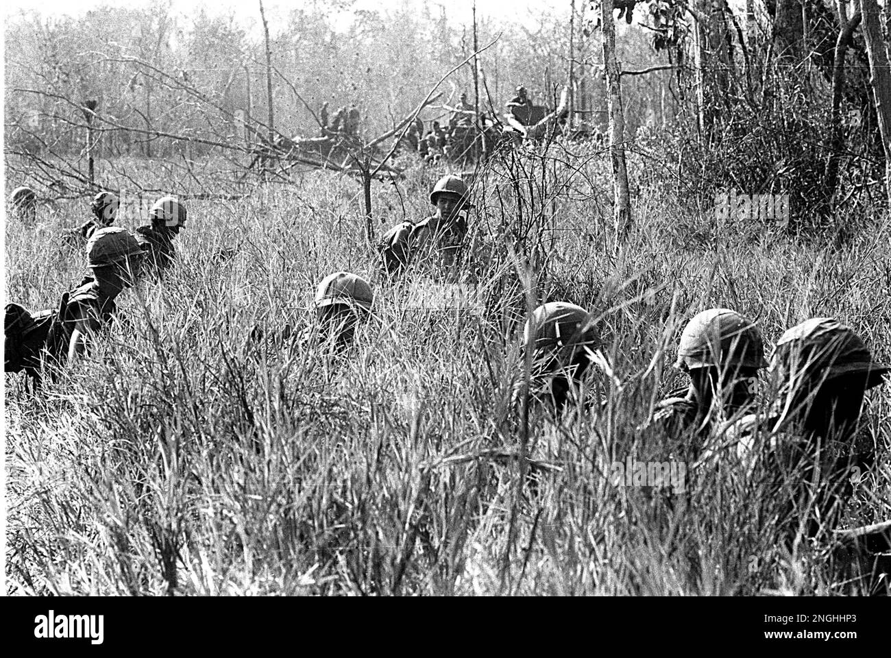 U.S. Infantrymen have difficulty maneuvering through the high bush and ...