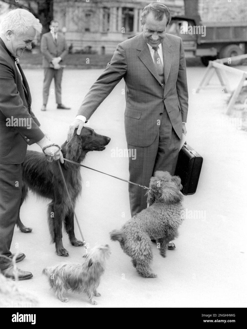 U.S. President Nixon pats the head of his Irish Setter pet King Timahoe ...