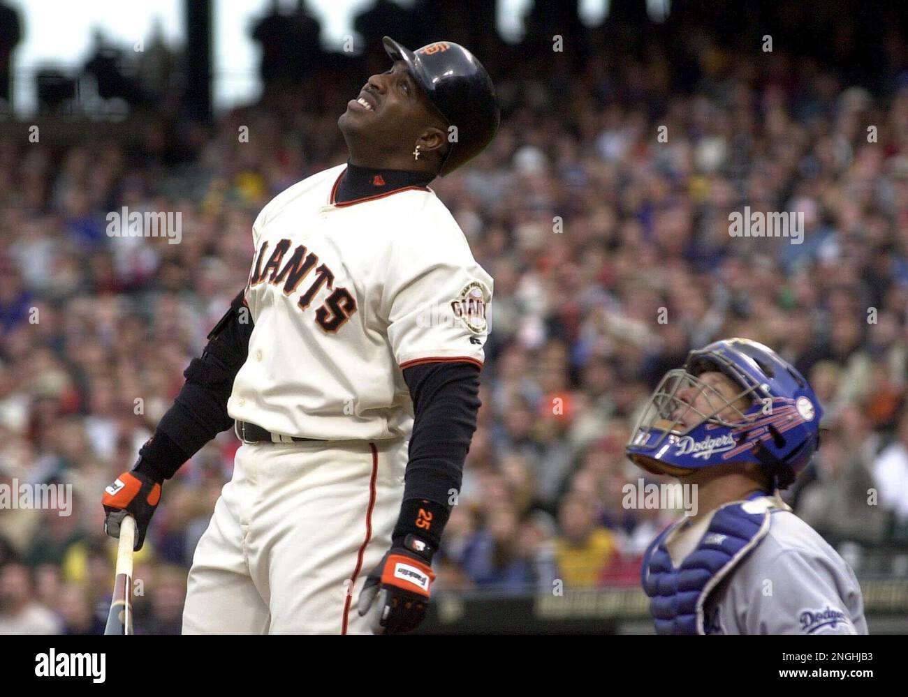San Francisco Giants' Barry Bonds and Los Angeles Dodgers catcher Chad ...