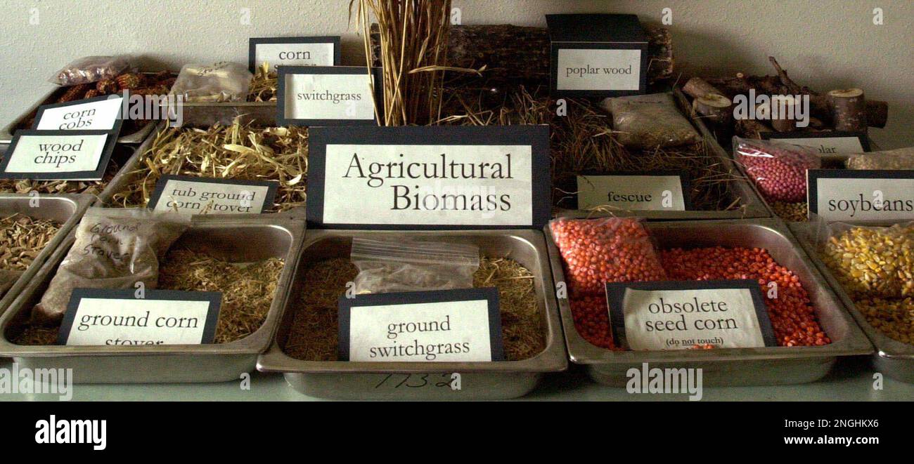 This Agricultural Biomass display of ground switchgrass, obsolete seed ...