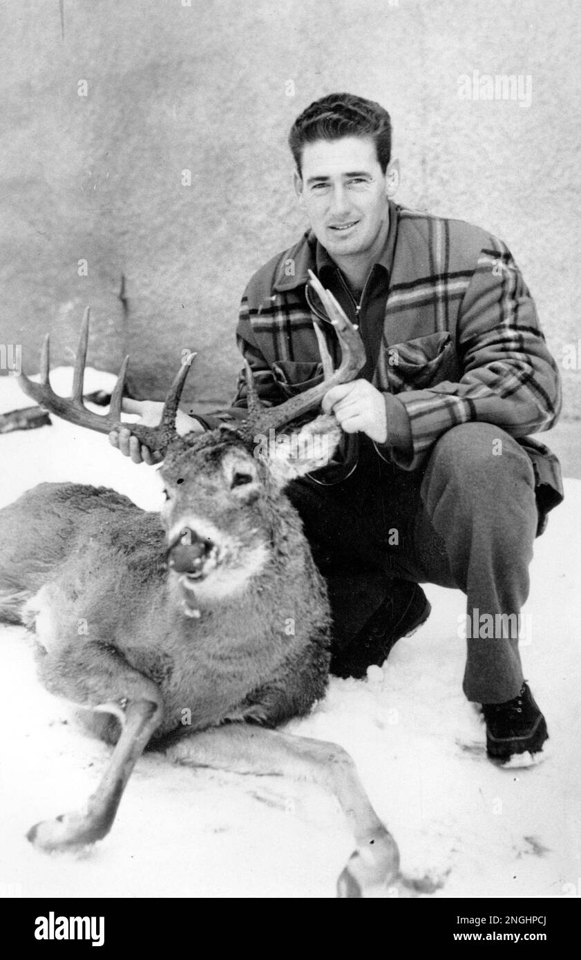 Ted Williams, of the Boston Red Sox, displays the 185-pound buck he ...