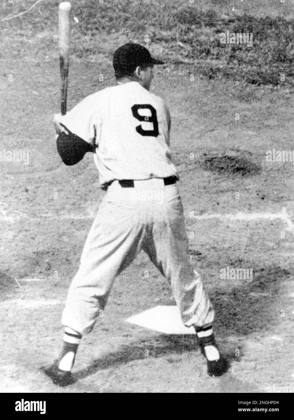 Ted Williams Baseball Player 9