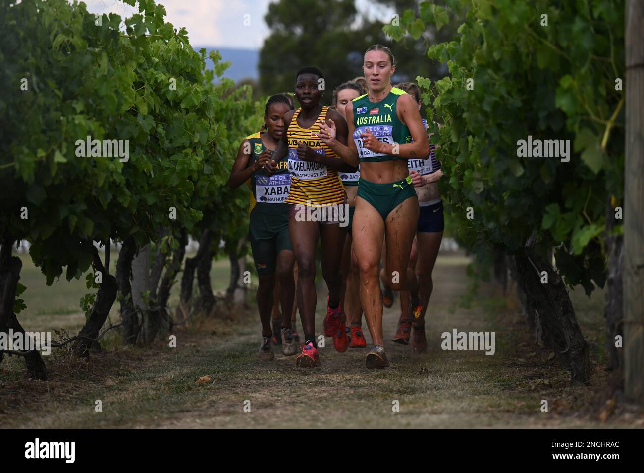 Rose Davies of Australia competes in the Senior Womens 10 klm race ...