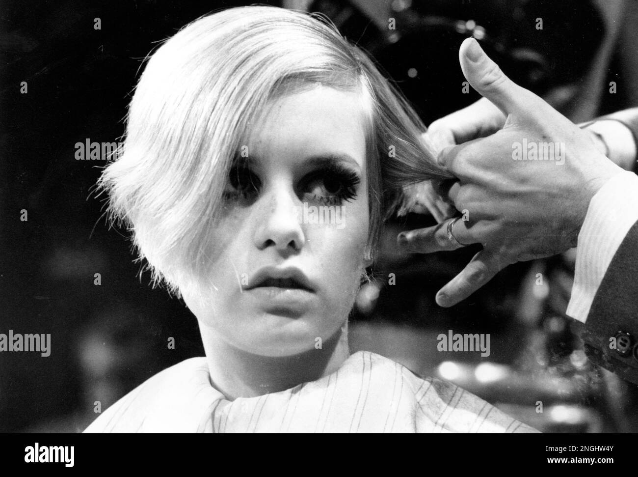 Twiggy Hair