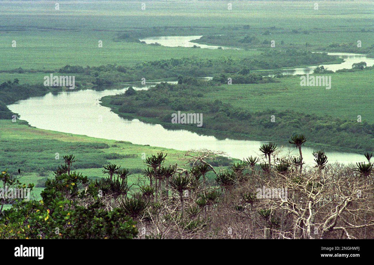 The Kwanza river snakes through the Quicama National Park about 75 ...
