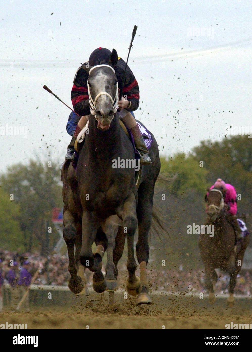 Macho Uno, with Jerry Bailey aboard, drives to the finish line to win ...