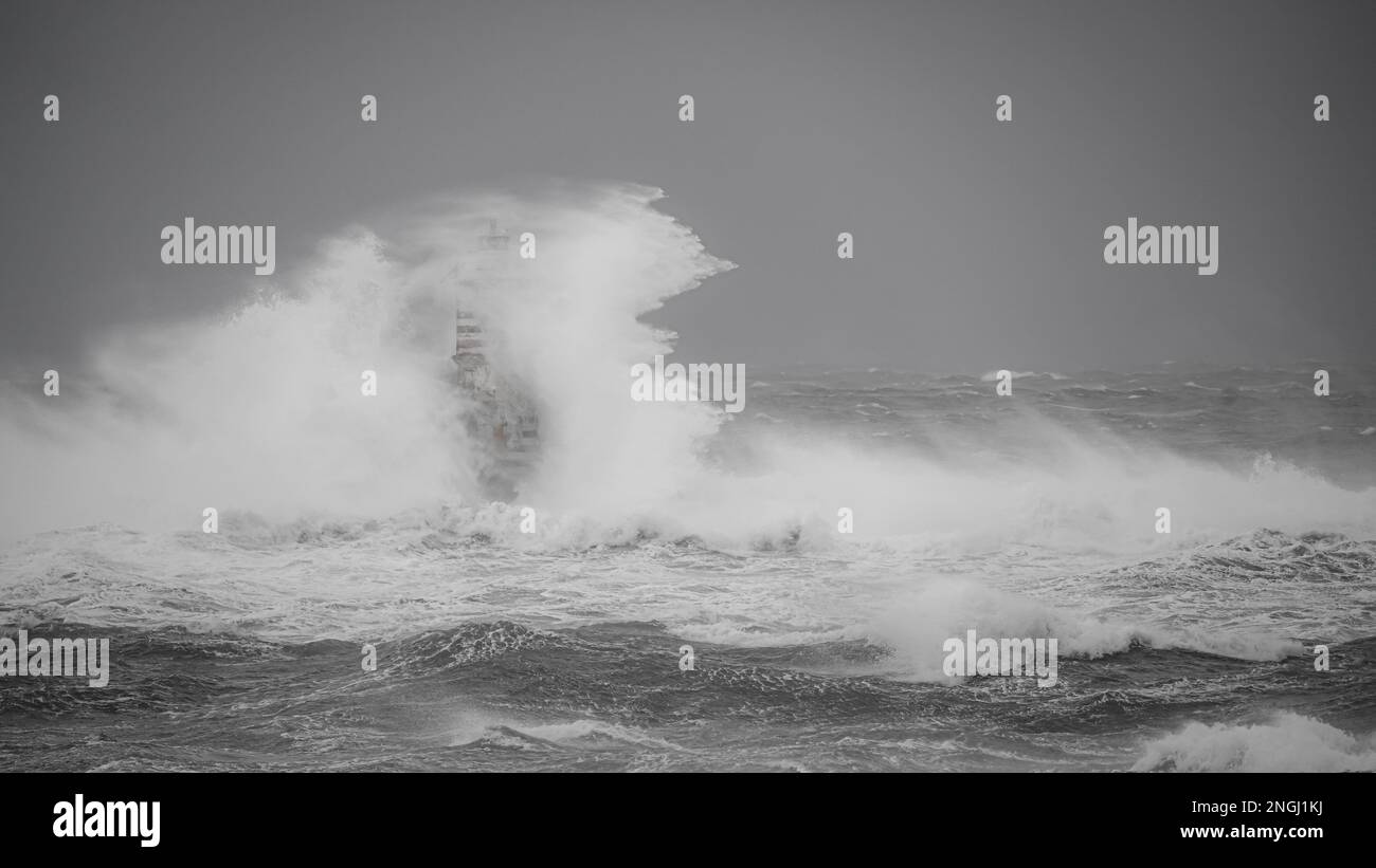 the lighthouse of the mangiabarche in calasetta, in southern sardinia ...