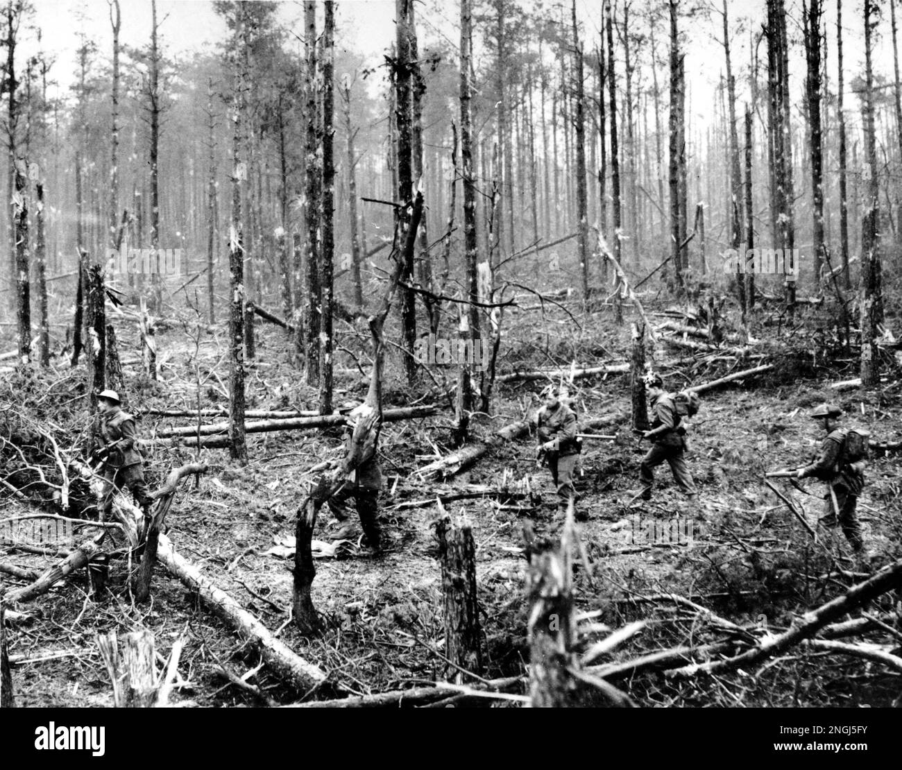 This is a 1945 photo of a Scottish regiment warily advancing through ...