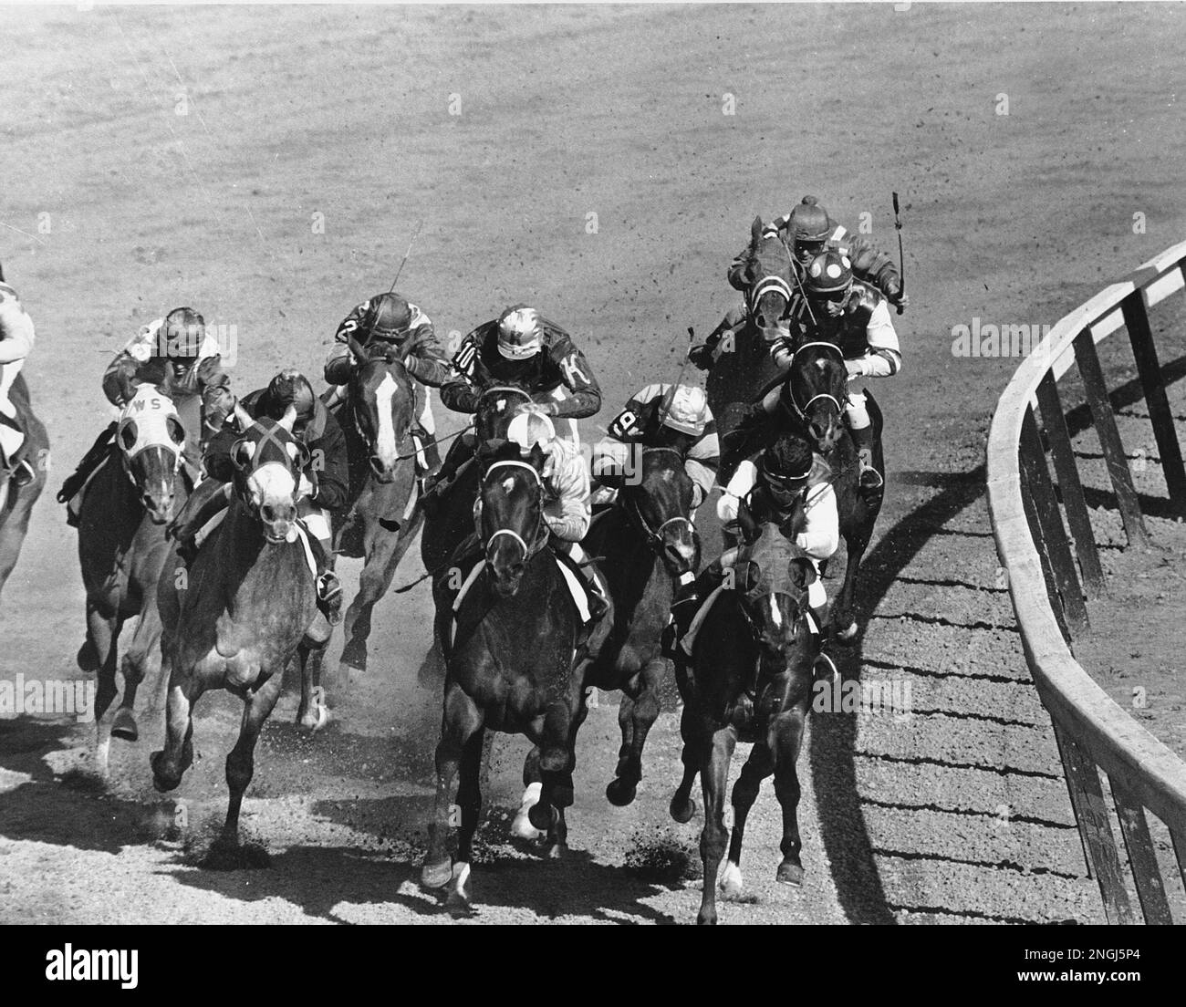 Jockey Joe Shoemaker and Lucky Debonair, foreground center, lead the ...