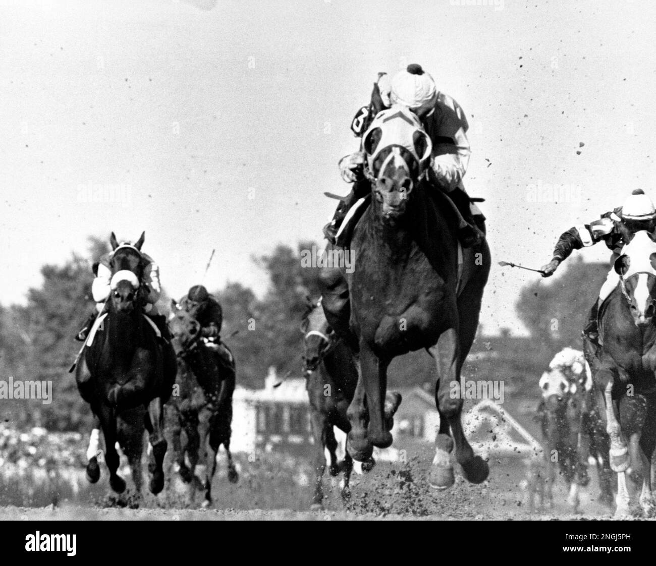 This photo shows Dust Commander with his four hooves off the ground as ...