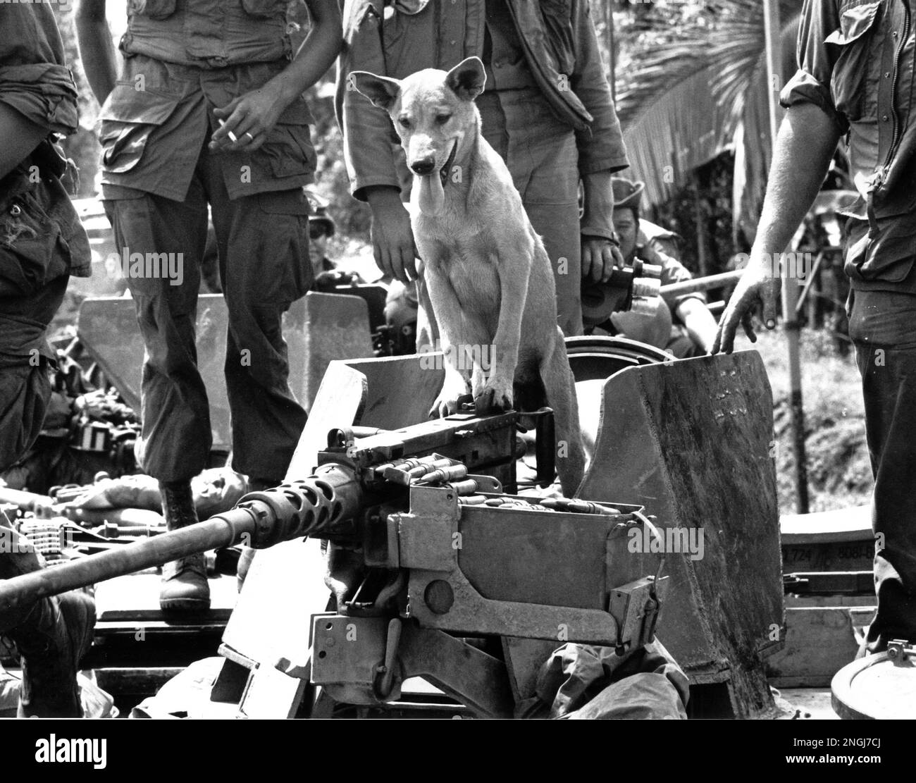Mascot "Charlie" looks over the sights of a .50 caliber machine gun ...
