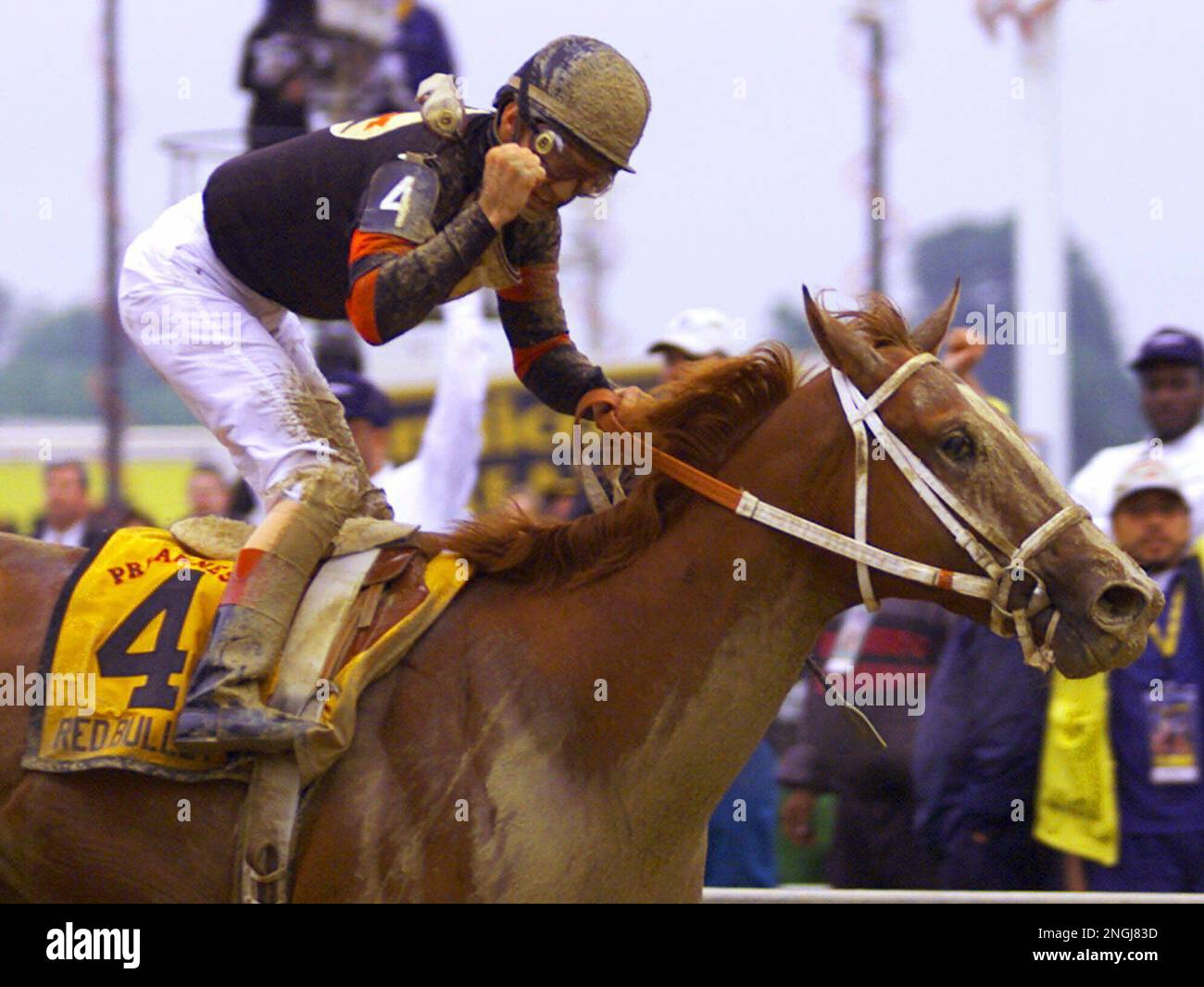 Jockey Jerry Bailey, aboard Red Bullet, reacts after crossing the ...