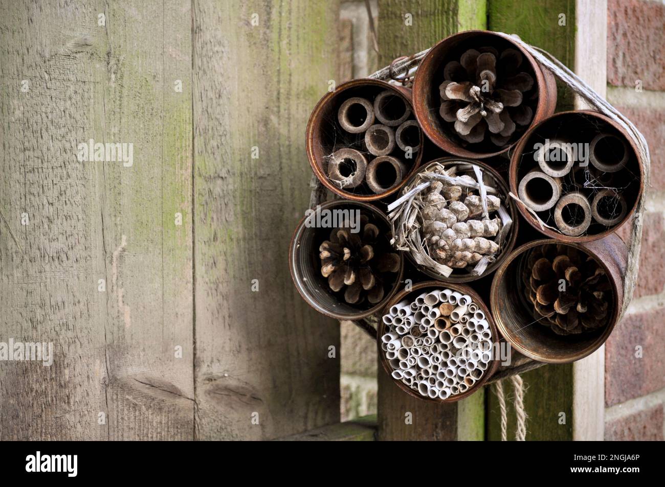 A DIY bug hotel made from upcycled food cans which have rusted in the ...