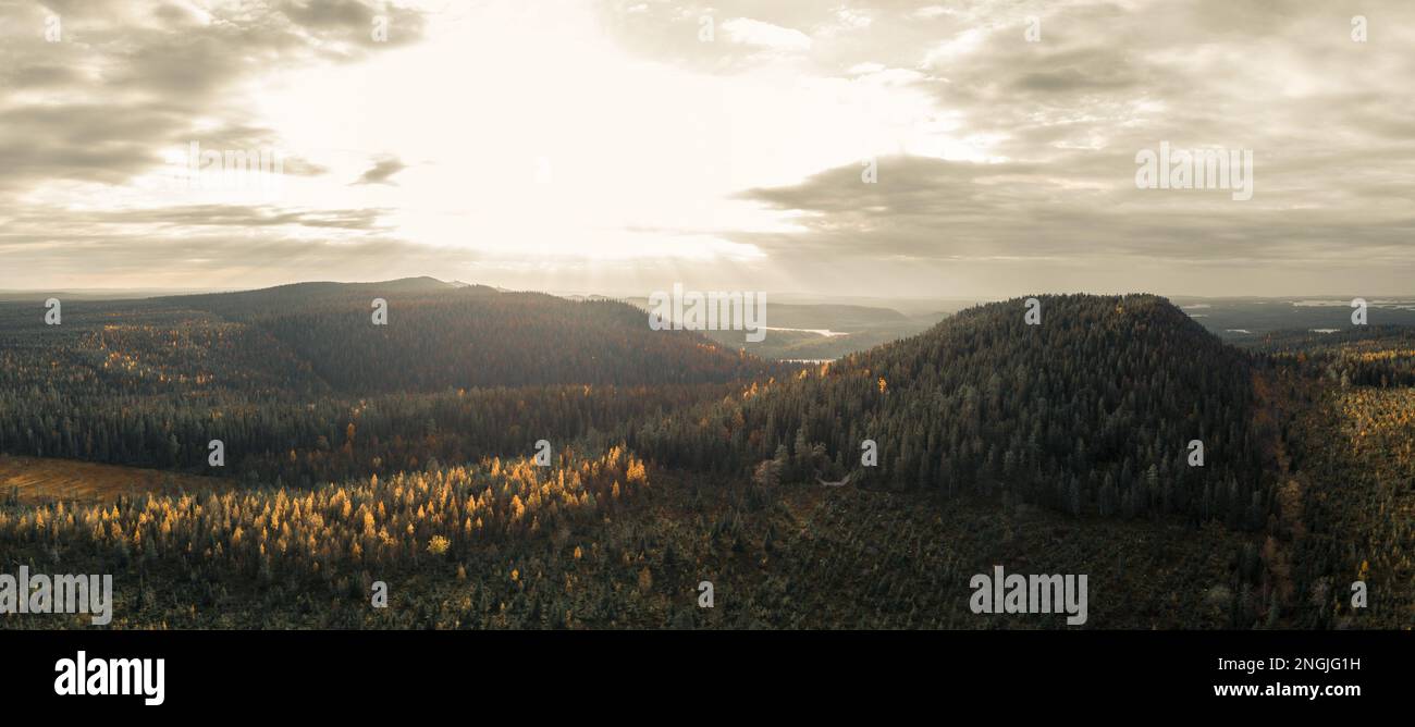 Autumn landscape panorama with hilly boreal forest in northern Finland ...