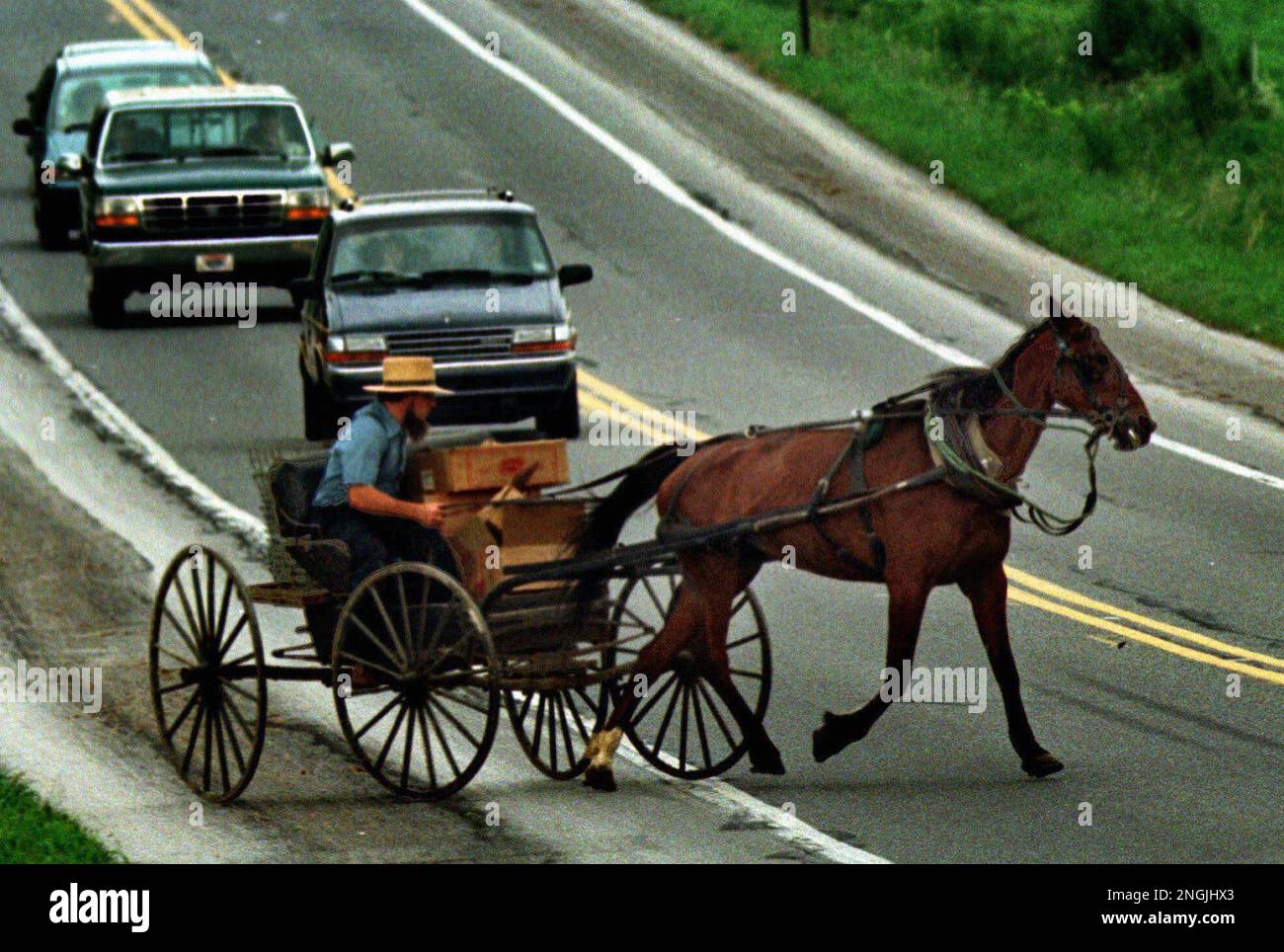 An Amish man cuts his horse-drawn buggy across traffic in Lancaster ...