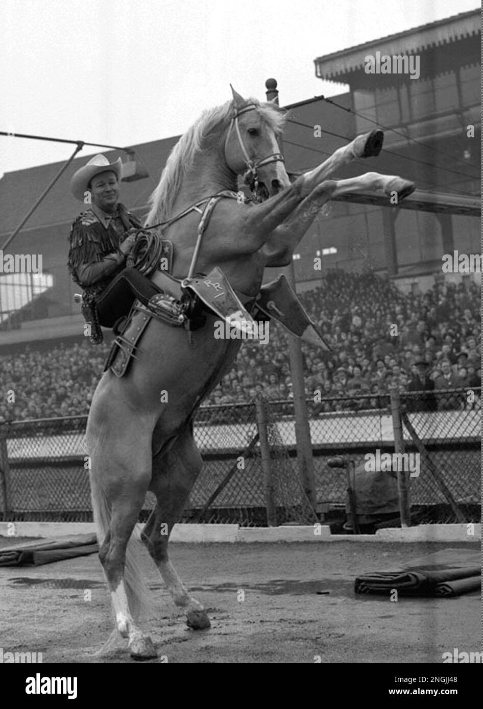 Cowboy film star Roy Rogers rides his famous horse Trigger, to greet ...
