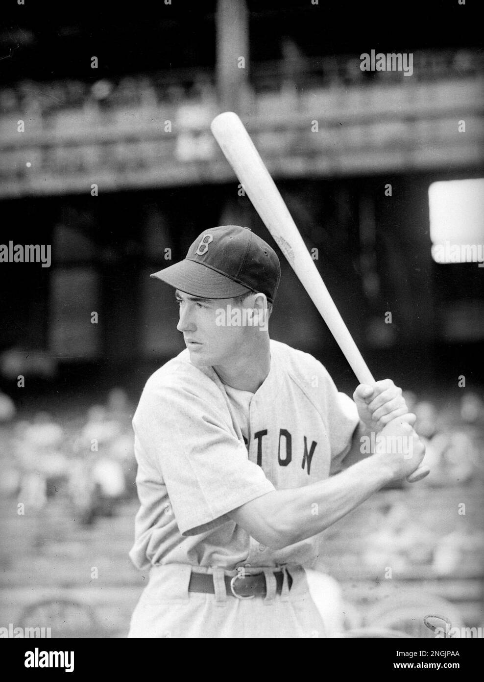 Ted Williams Batting Stance