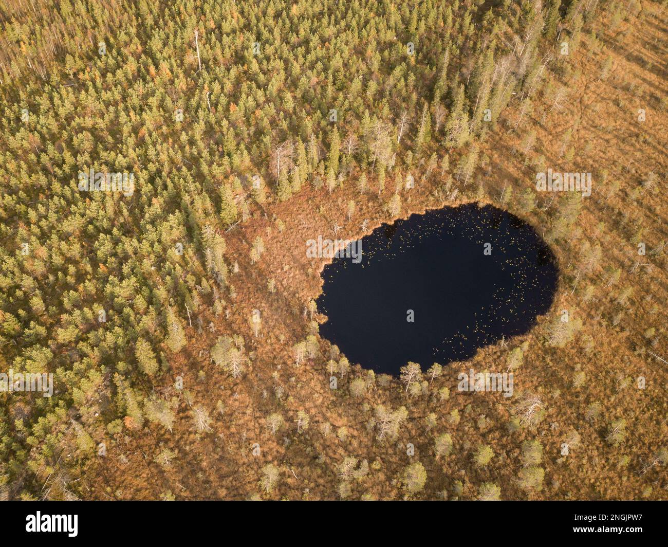 Aerial view of a small bog lake Stock Photo - Alamy
