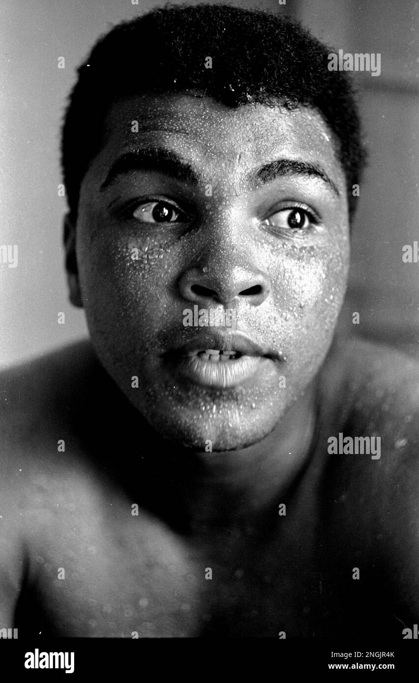 Perspiration beads the face of world heavyweight boxing champion ...