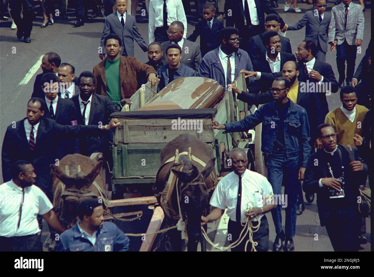A brace of plow mules drawing the farm wagon bearing the mahogany ...