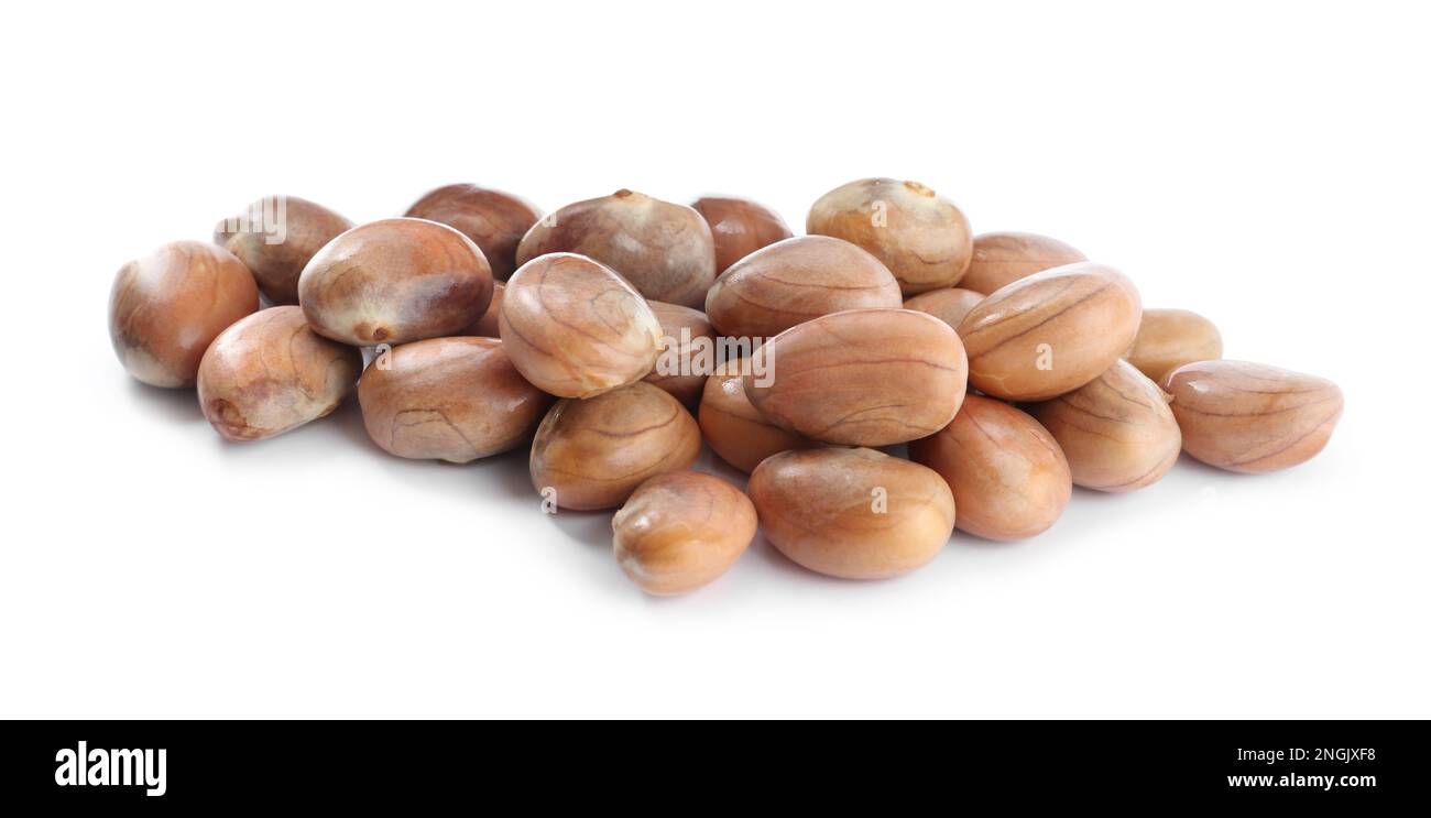 Many raw jackfruit seeds on white background Stock Photo - Alamy