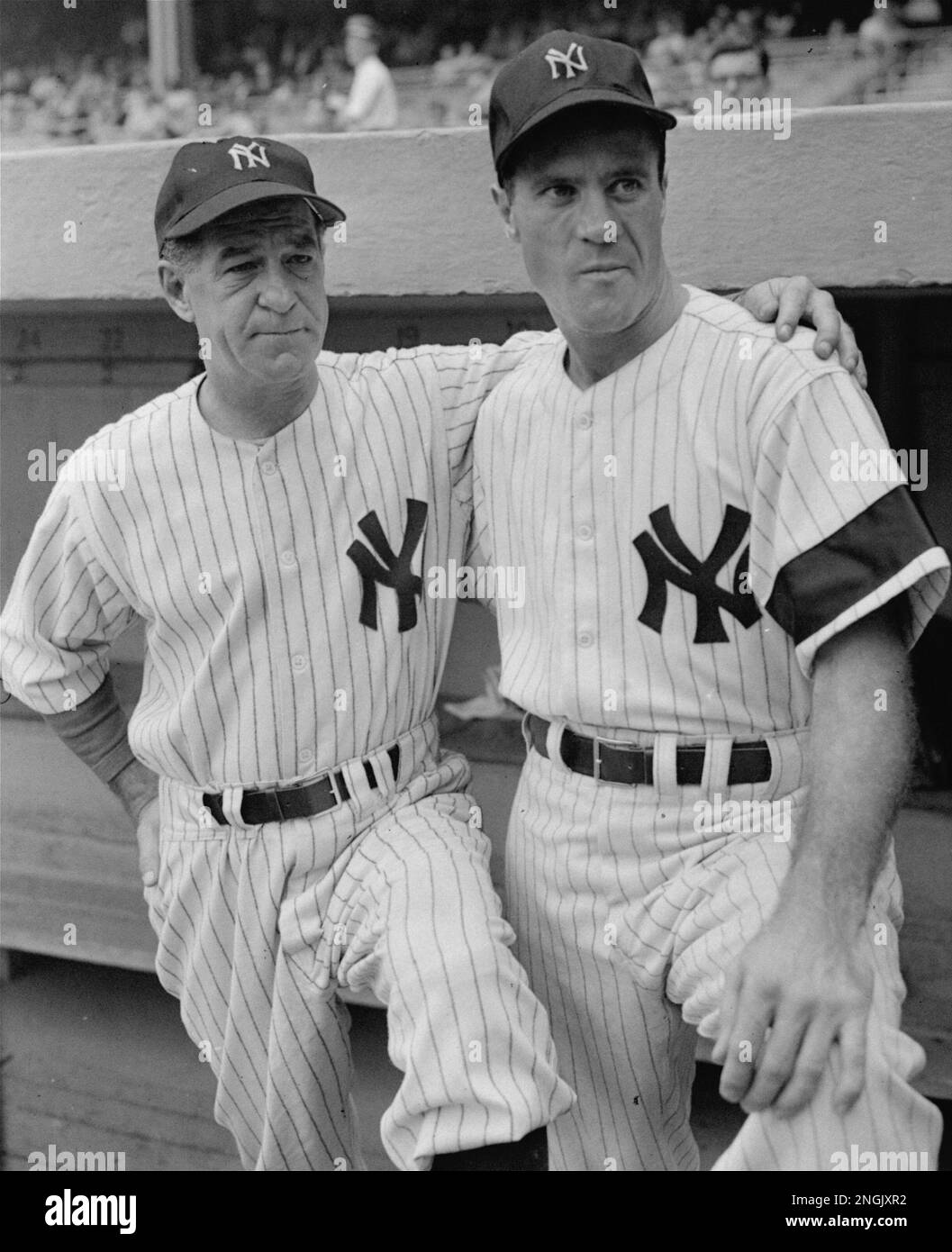 New York Yankees' manager Bucky Harris, left, greets Hank Bauer, new ...