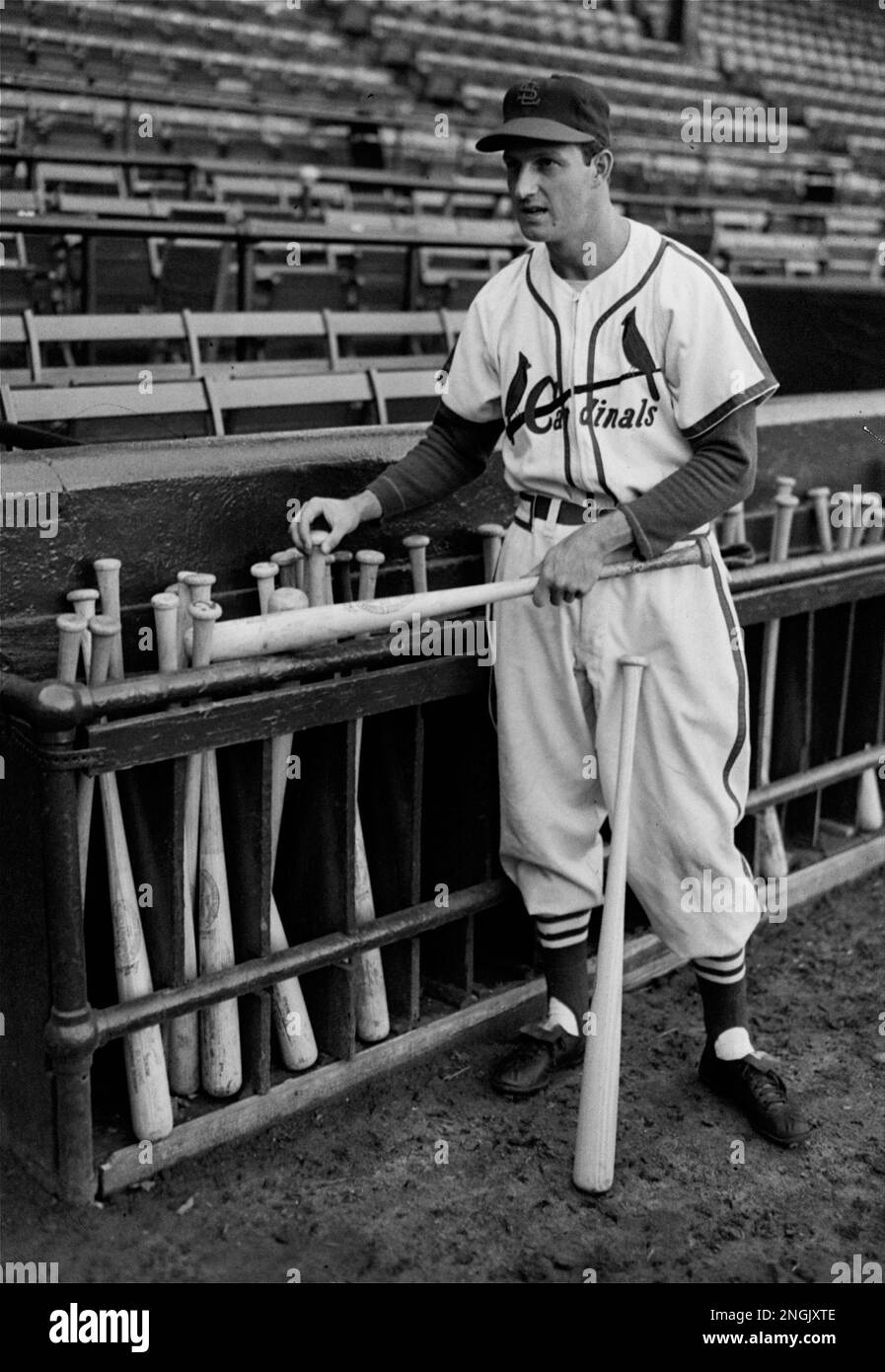 Stan Musial, St. Louis Cardinals' first baseman, picks out a bat before ...