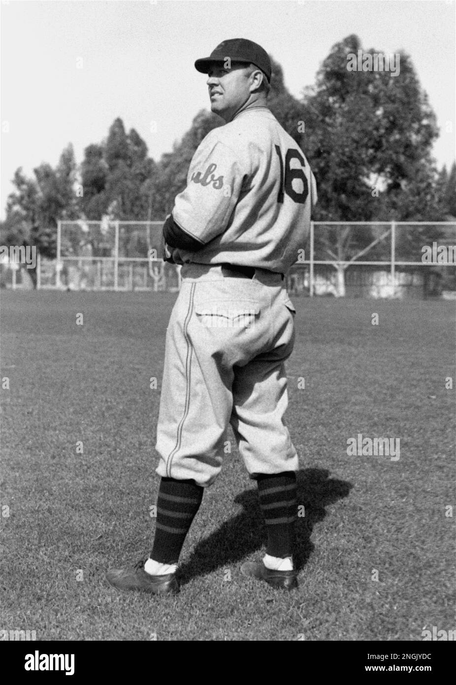 Veteran pitcher Burleigh Grimes works out at the Chicago Cubs spring ...