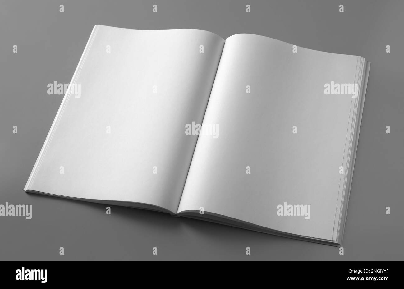 Open blank brochure on light grey background Stock Photo - Alamy
