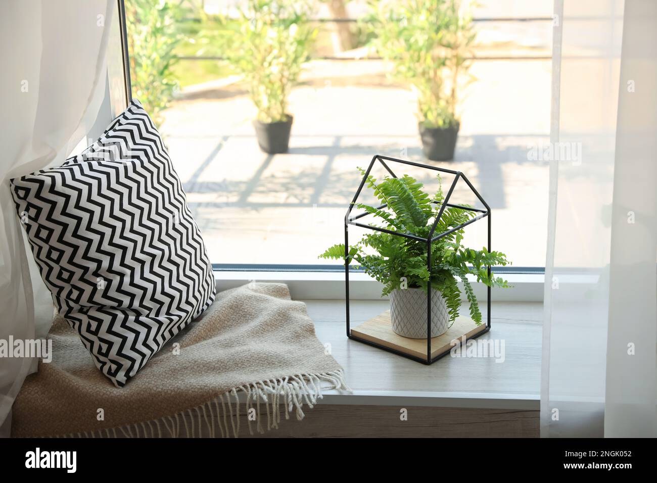 Beautiful fern, pillow and plaid on window sill indoors Stock Photo - Alamy