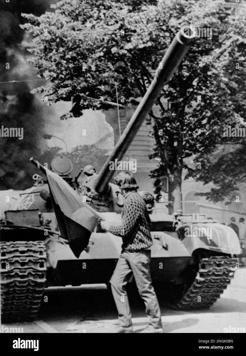 A Czech youth carries his country's flag under the gun barrel of a ...