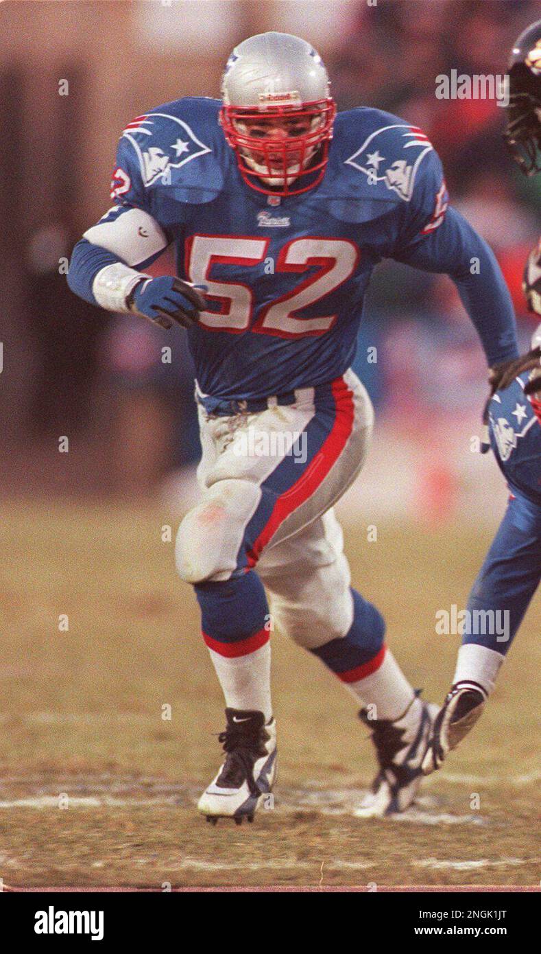 Ted Johnson Patriots Wife