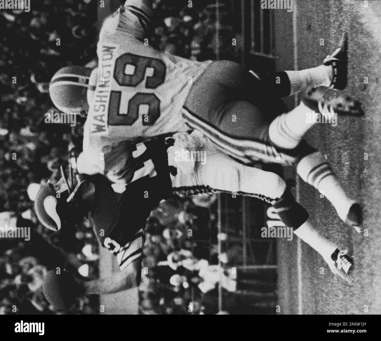 Minnesota Vikings quarterback Fran Tarkenton gets off a scoring pass ...