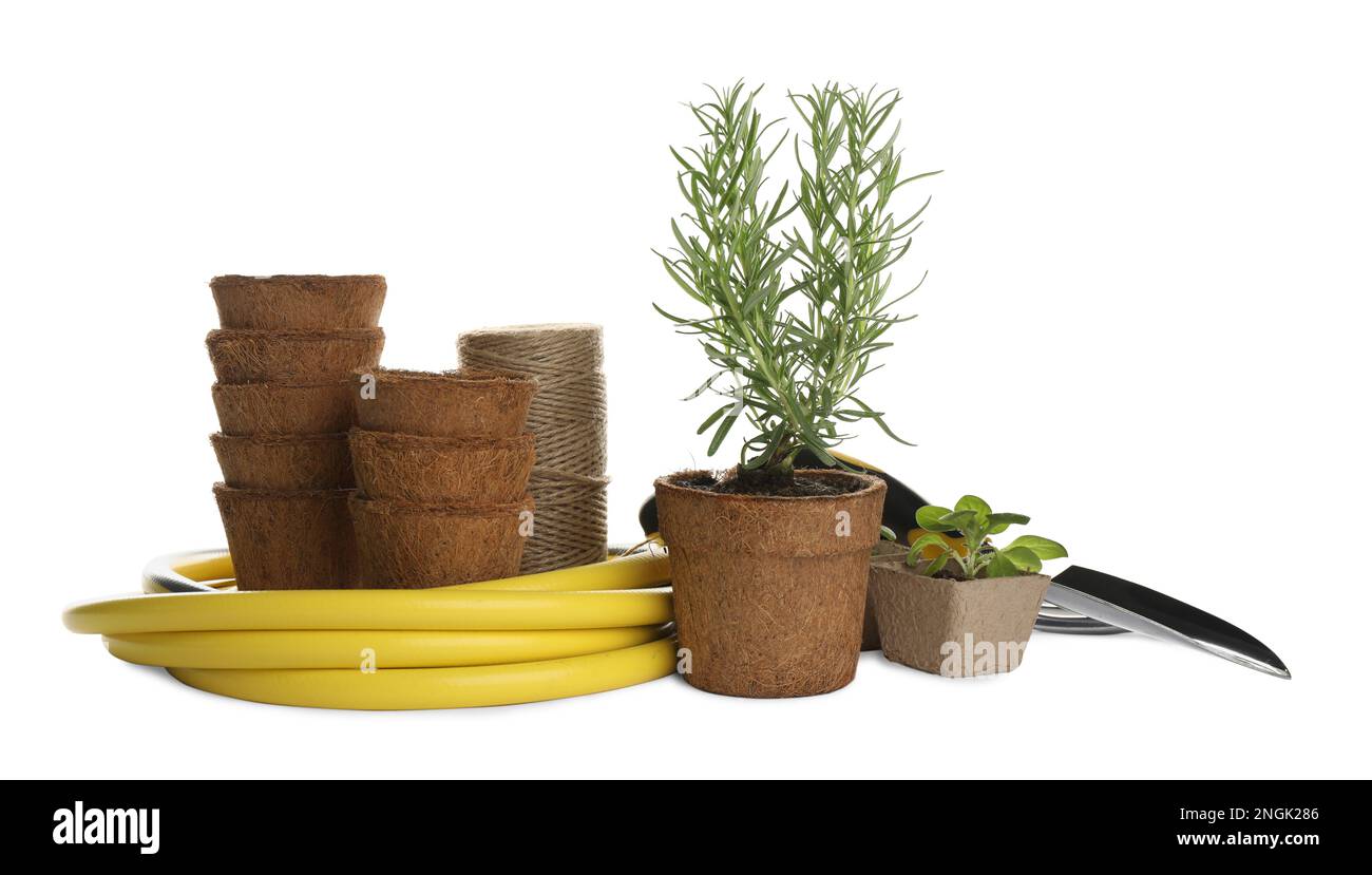 Different modern gardening tools on white background Stock Photo - Alamy