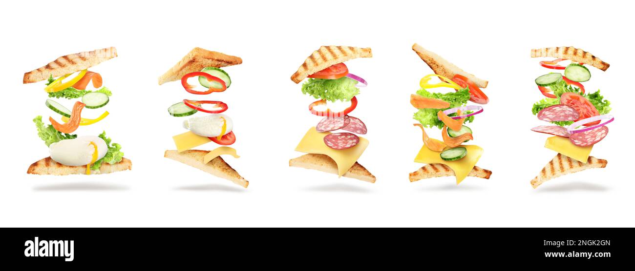 Delicious sandwiches with flying ingredients on white background ...