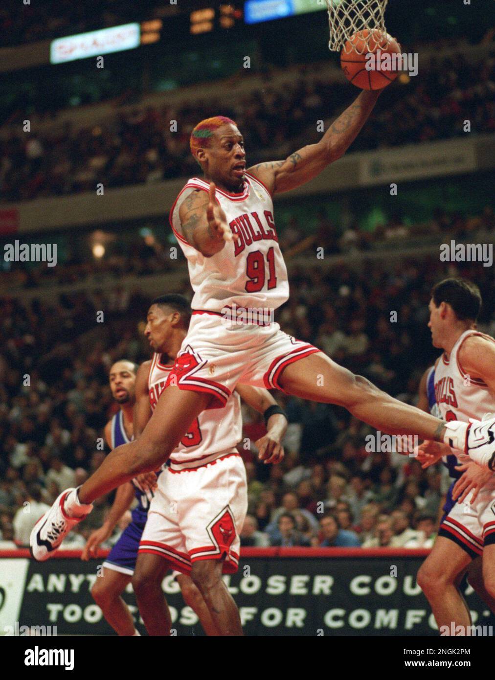 Dennis Rodman Rebound