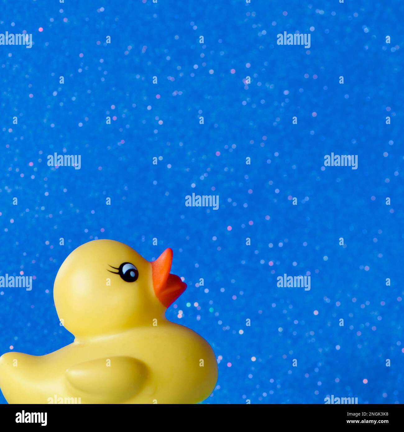 Yellow Rubber Duck in side profile on a blue background Stock Photo - Alamy