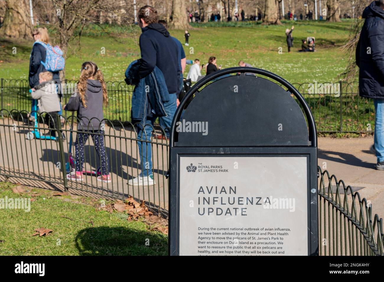 Warning of Avian Influenza in St James's Park in London, informing ...