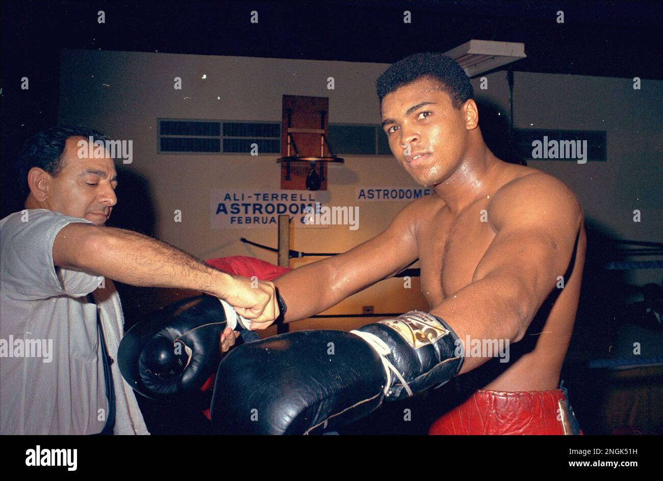 Muhammad Ali gets his gloves laced outside a boxing ring in Houston ...