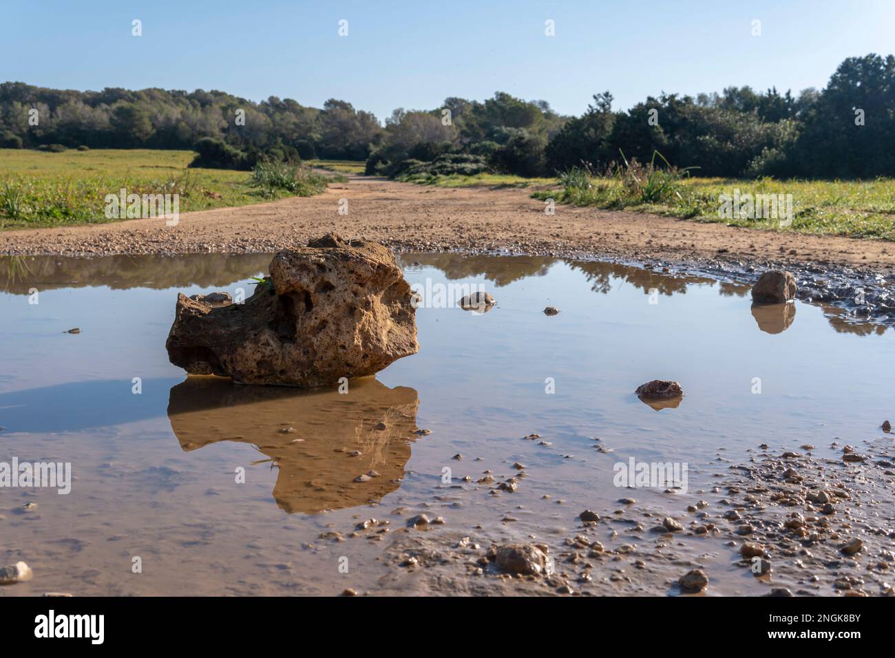 Close-up of a rock reflected in a puddle, on a country road on the ...