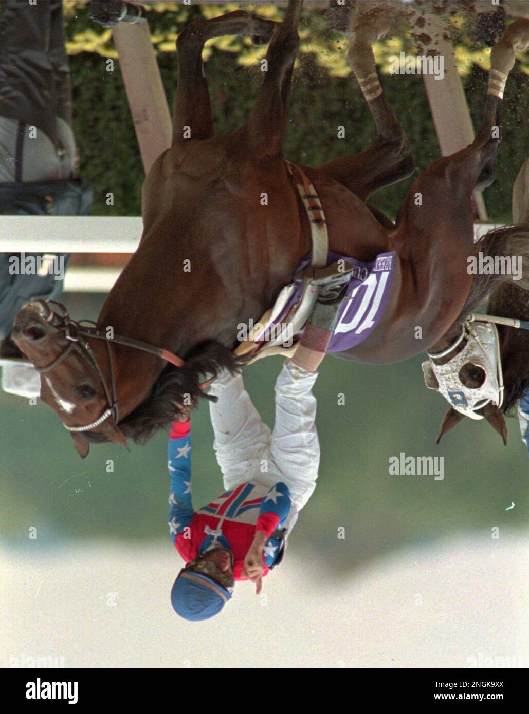 Jockey Jerry Bailey signals number one after winning the Breeders Cup ...