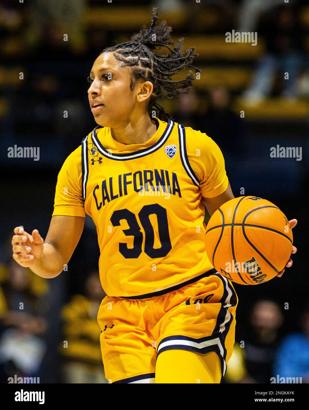 2023 0537 jpg hi-res stock photography and images - Alamy