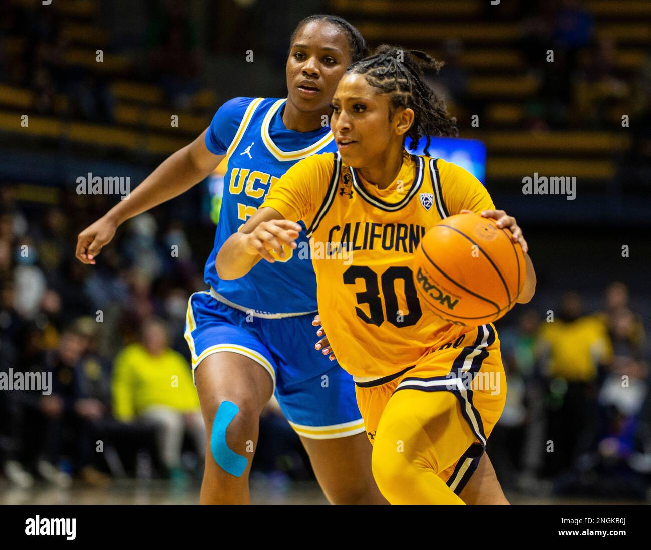 2023 0541 jpg hi-res stock photography and images - Alamy