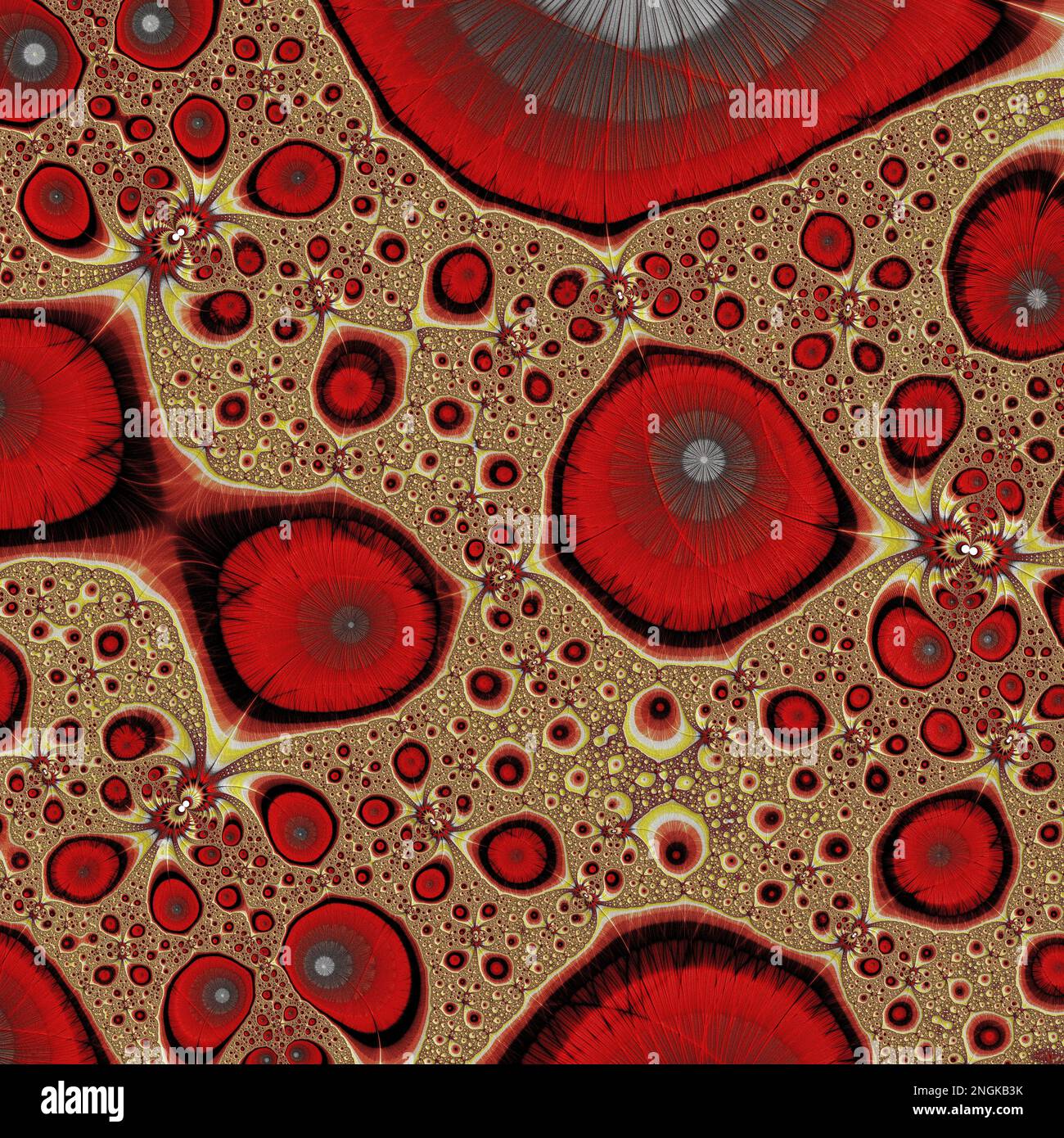 Fractal complex - Mandelbrot set detail, digital artwork for creative ...