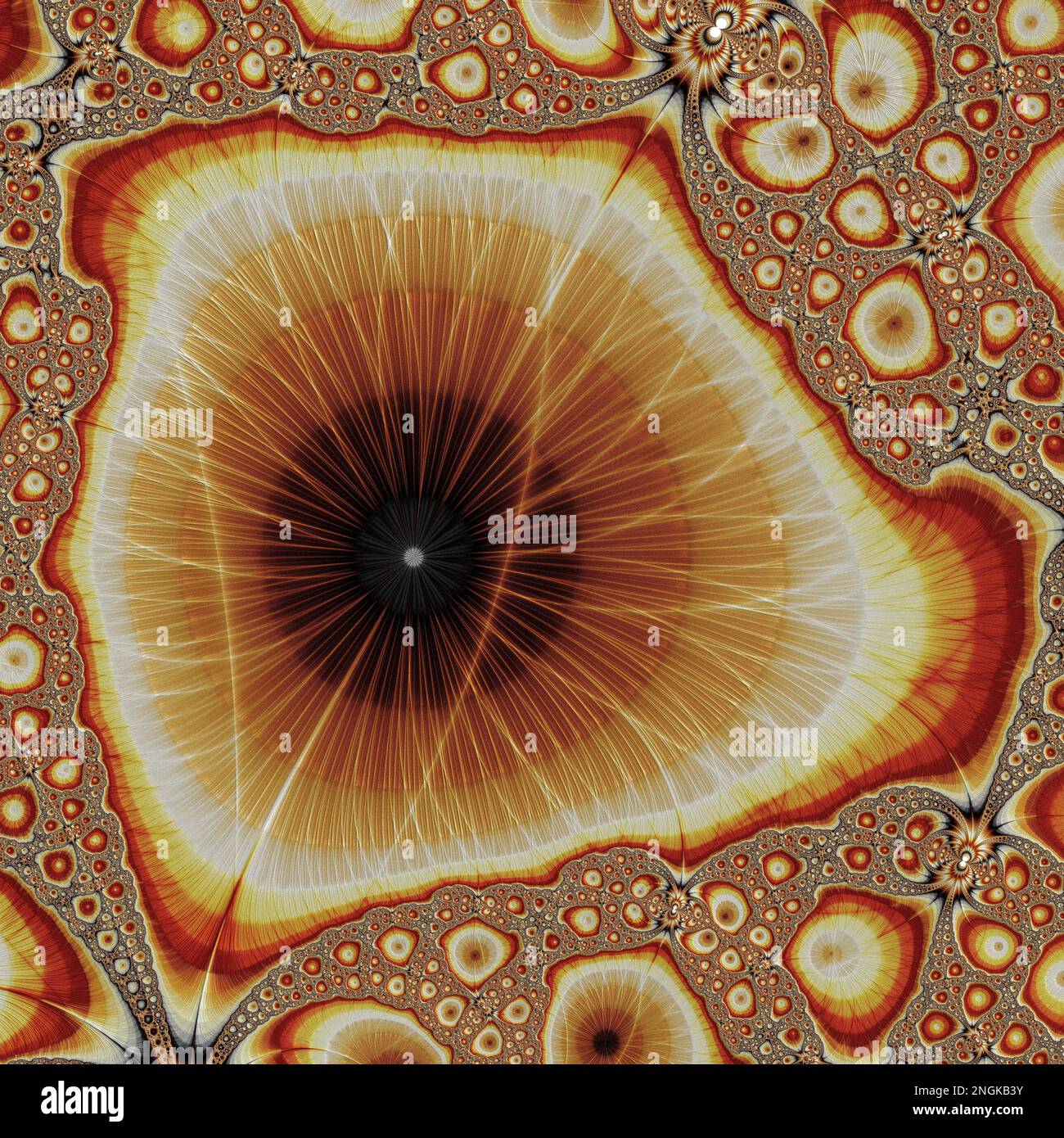 Fractal complex - Mandelbrot set detail, digital artwork for creative ...